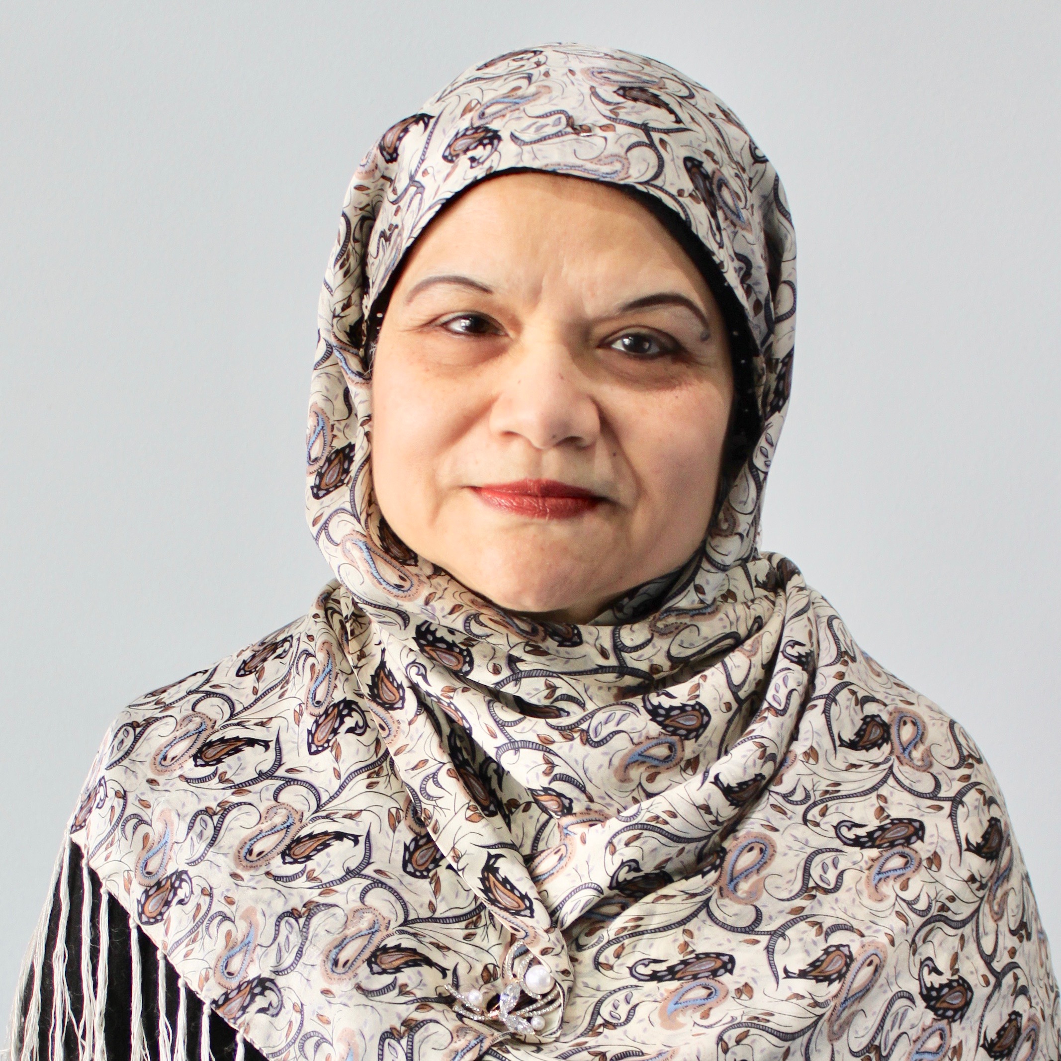 Professor Ahmed - Hudson Institute