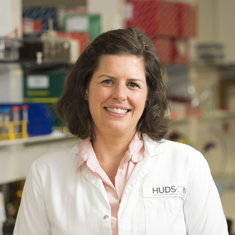 NHMRC Investigator Grant success - Hudson Institute of Medical Research