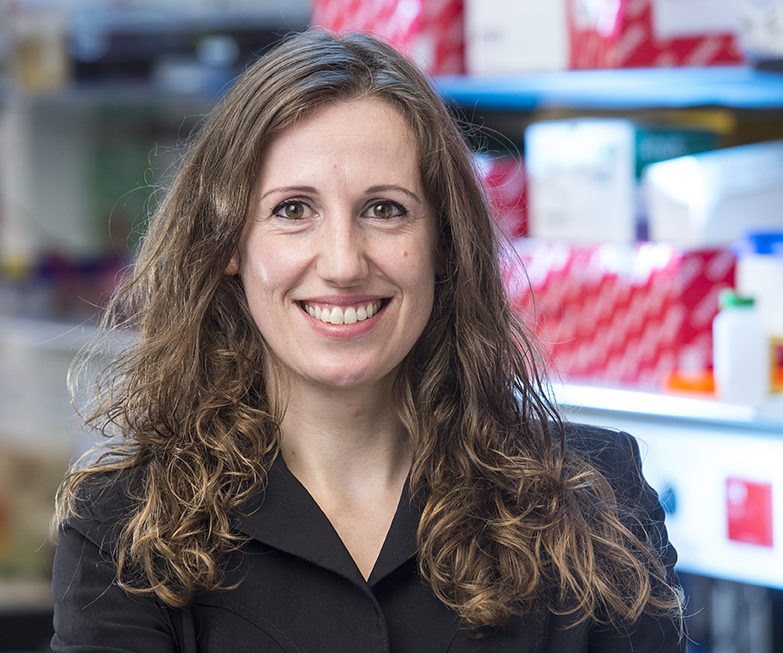 Promising target against Australia’s second deadliest cancer - Hudson ...