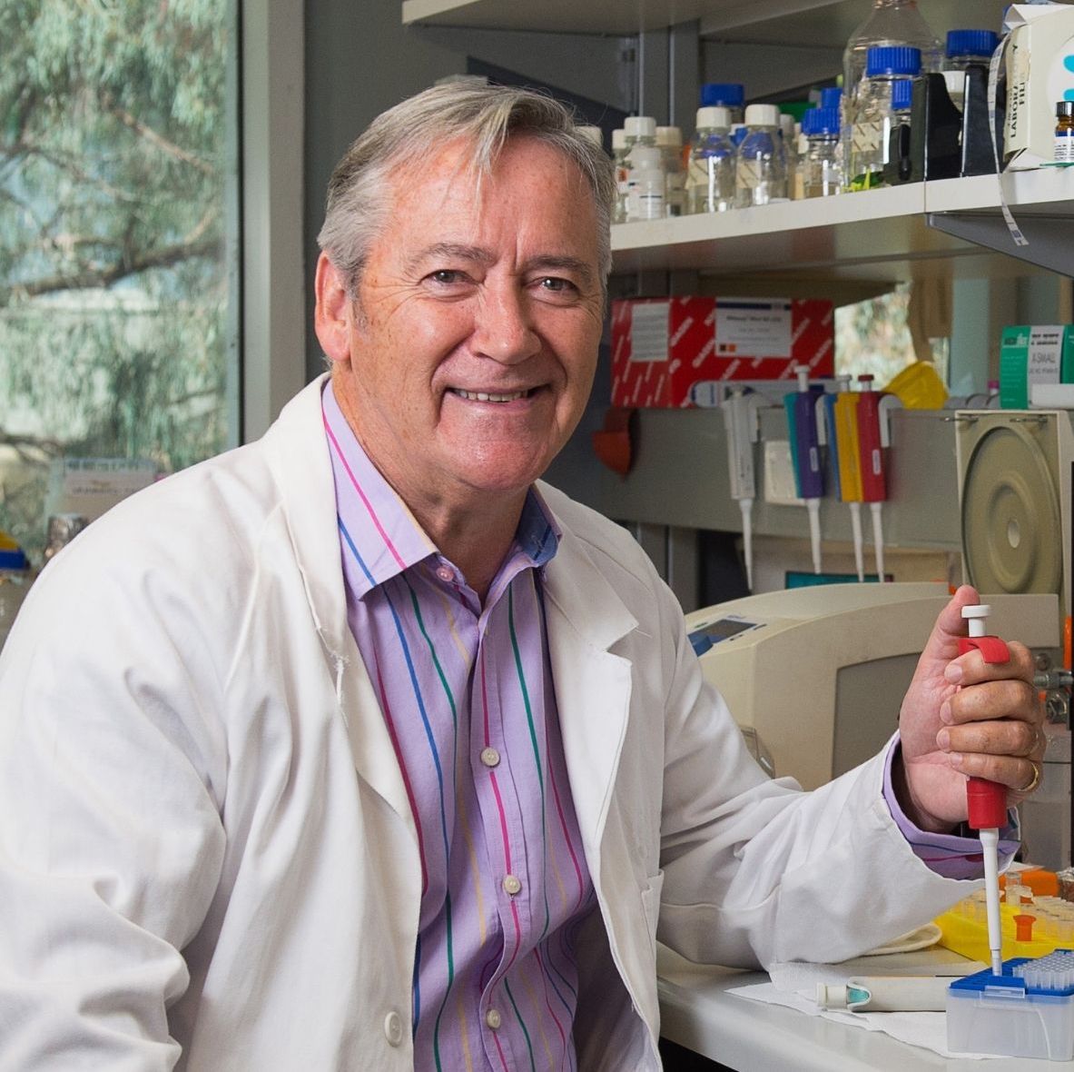 Lupus - Hudson Institute of Medical Research