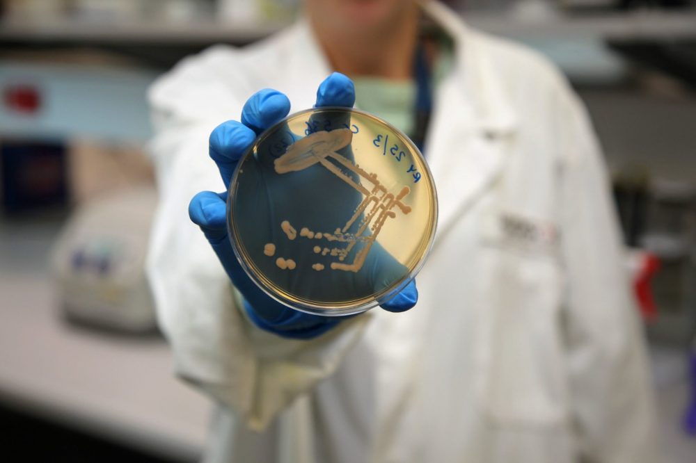 Antimicrobial resistance | Hudson Institute of Medical Research