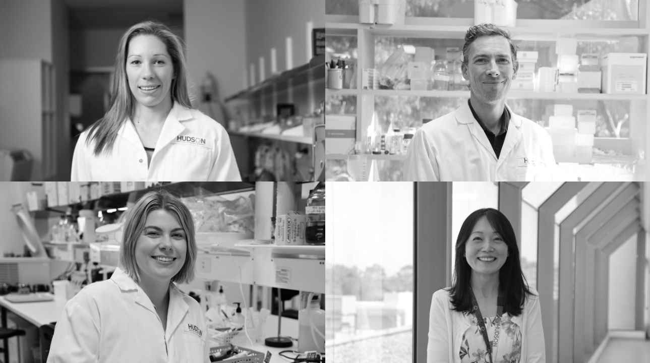 NHMRC Investigator grant success 2025 - Hudson Institute of Medical ...